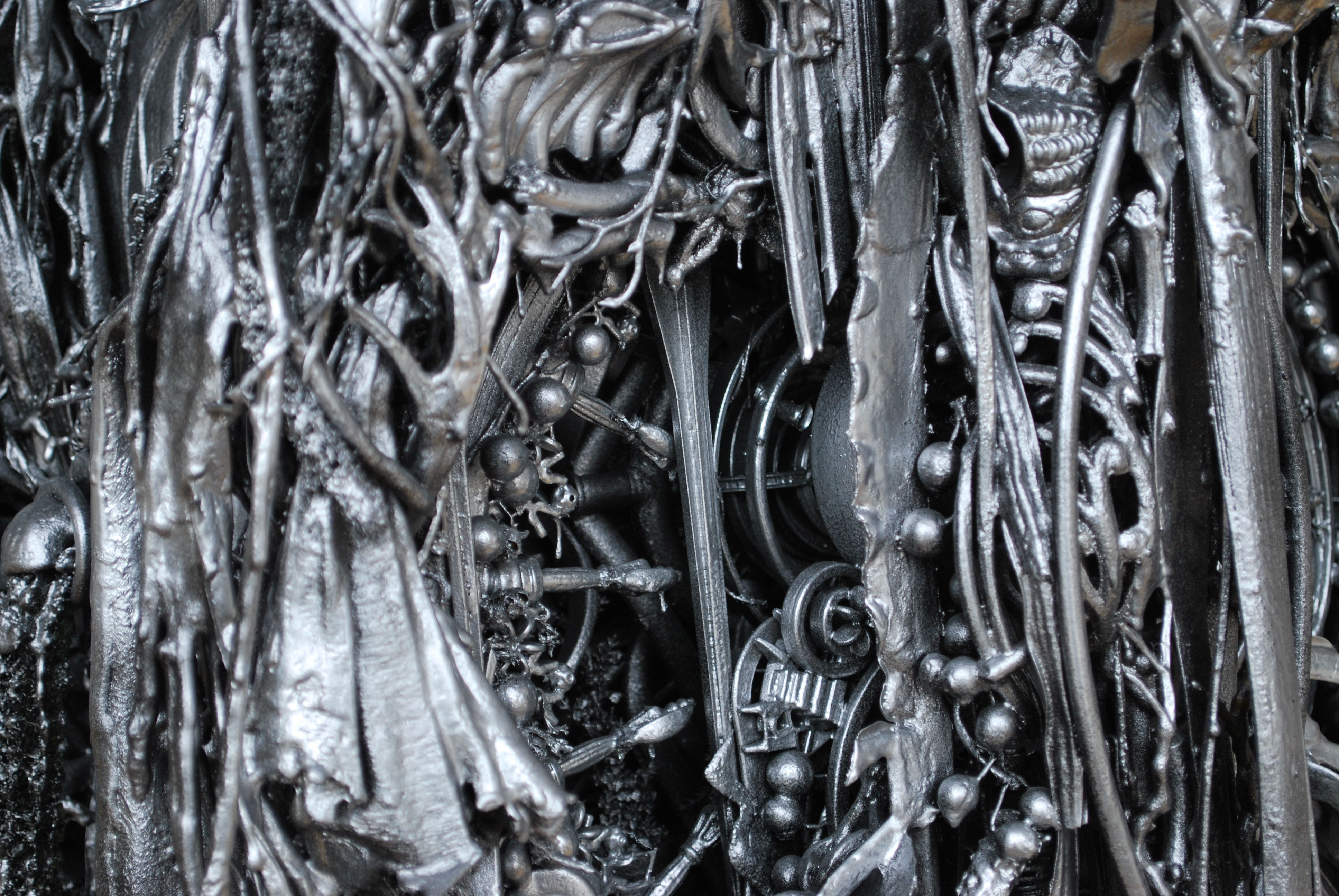 i am Worm Morphology.